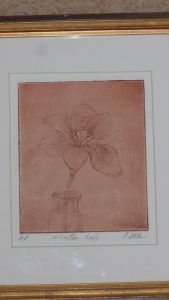Winter Iris by Sally Orr