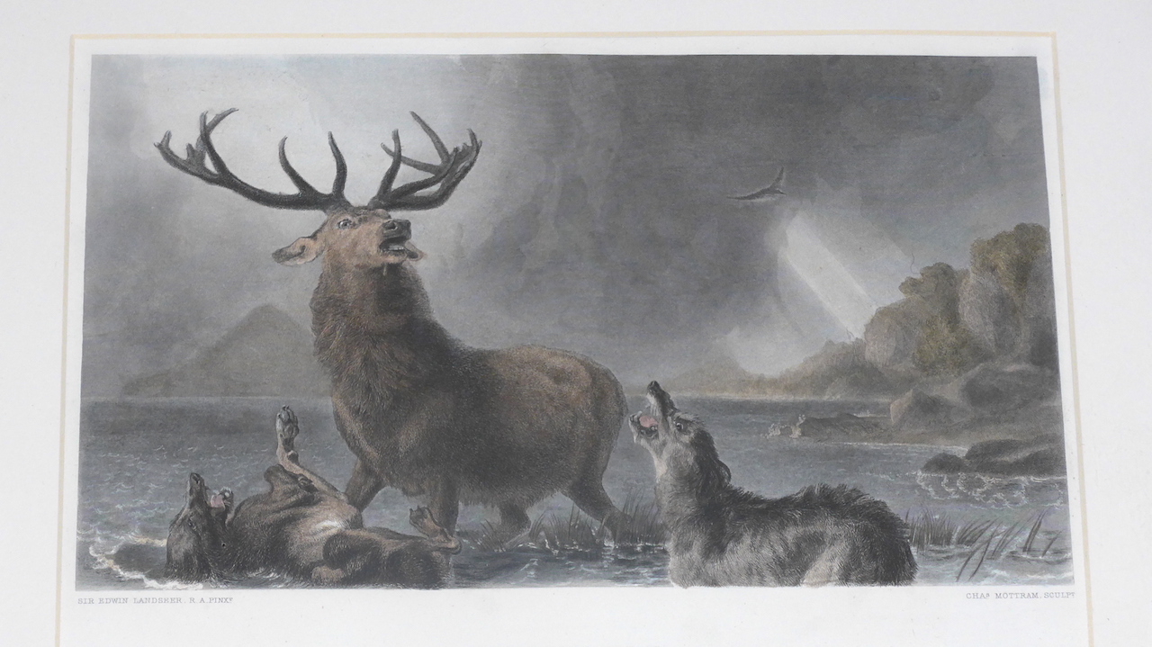 The Stag At Bay by Edwin Landseer