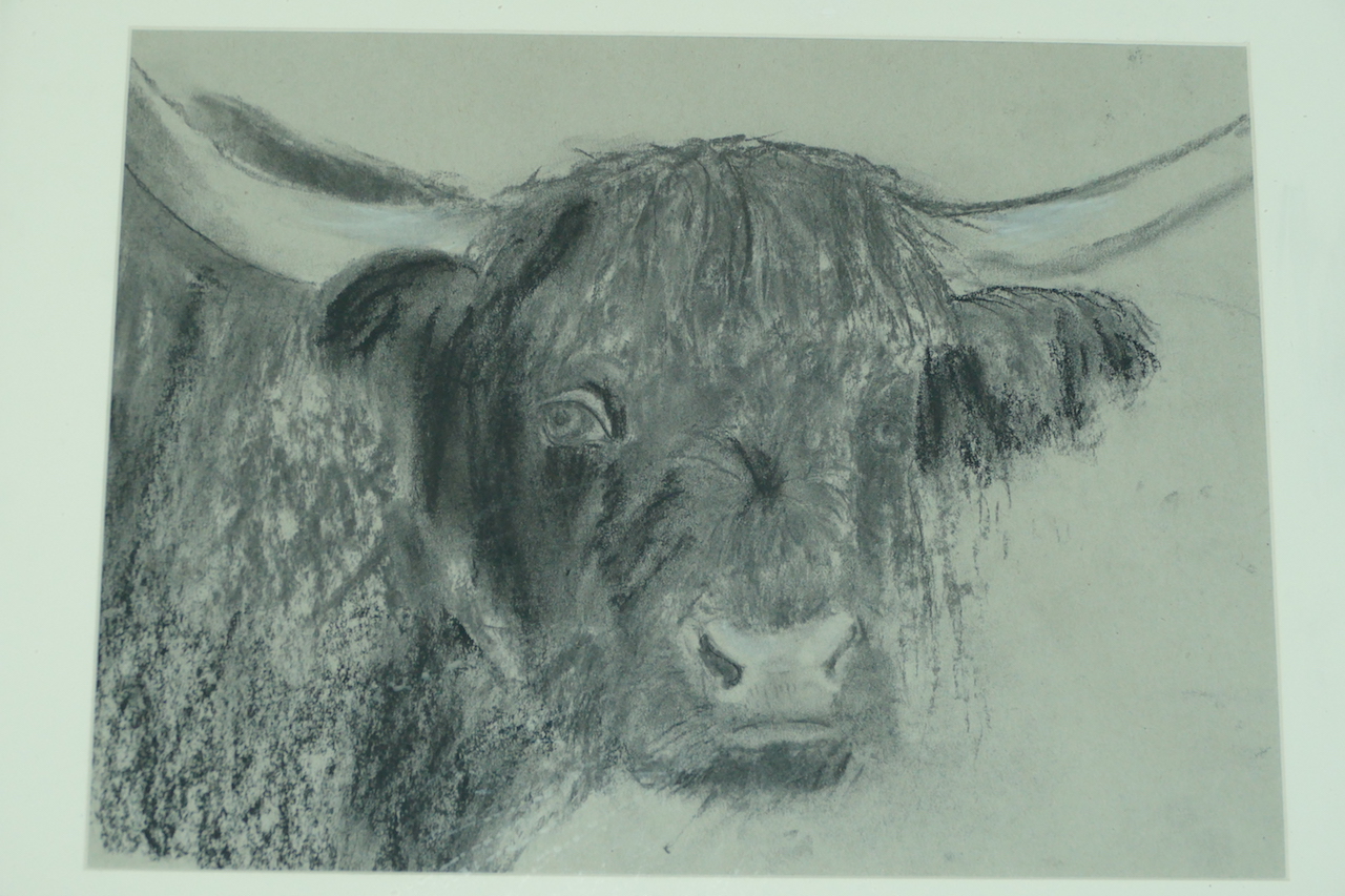 Heilan' Coo by Helen Sproston (Contemporary)
