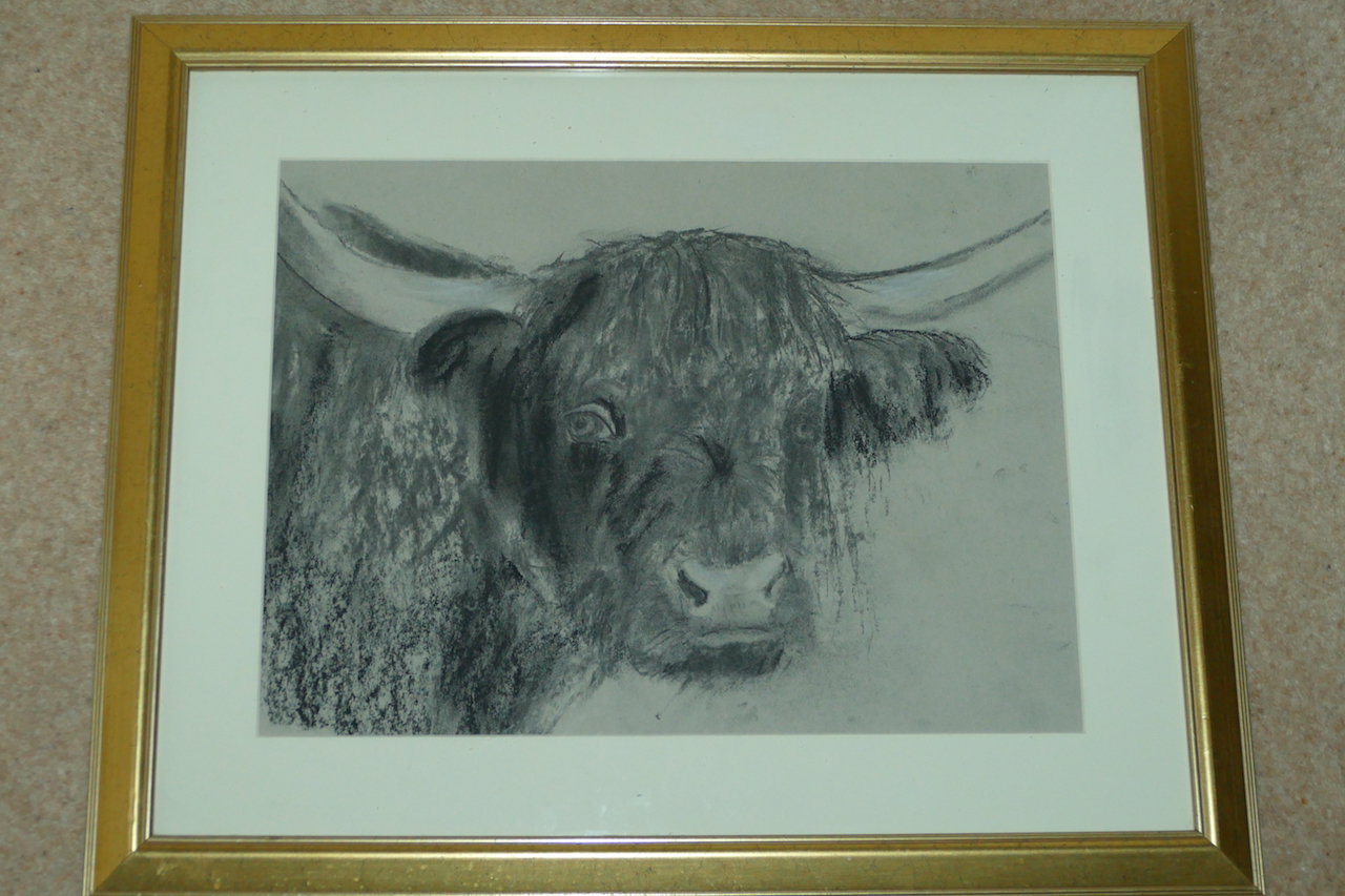 Heilan' Coo by Helen Sproston (Contemporary)
